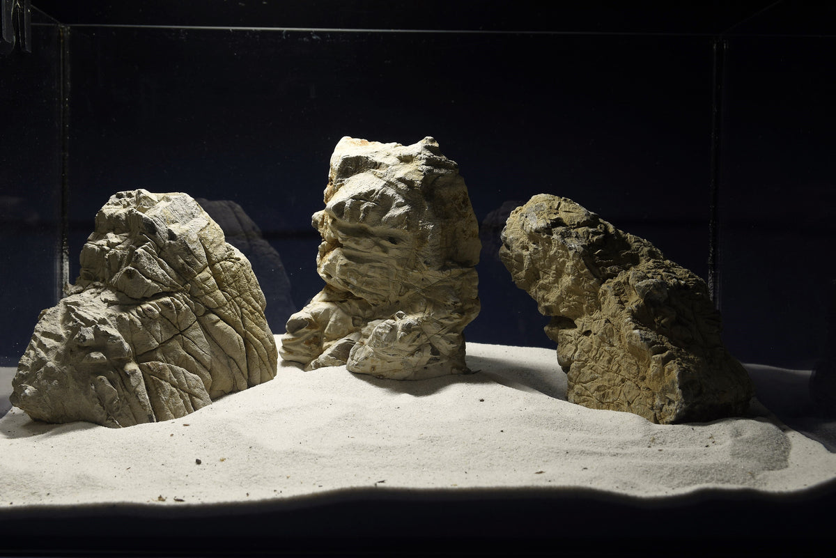 Geo Rock / Geo Stone - klassisch oder 1000-fach zerklüftet – daw-aquaristik